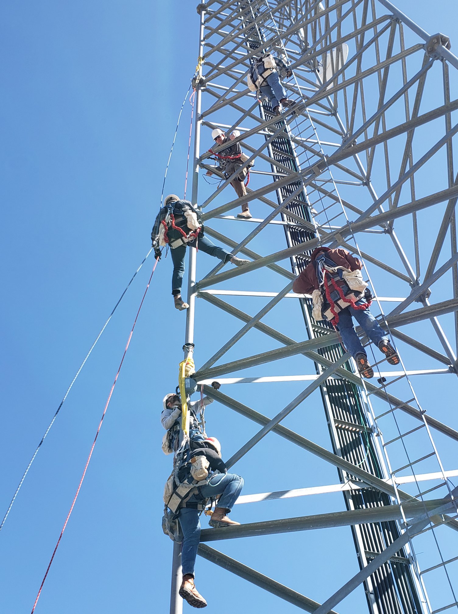 Desert Services International, Inc. – Providing uncommon solutions with ...